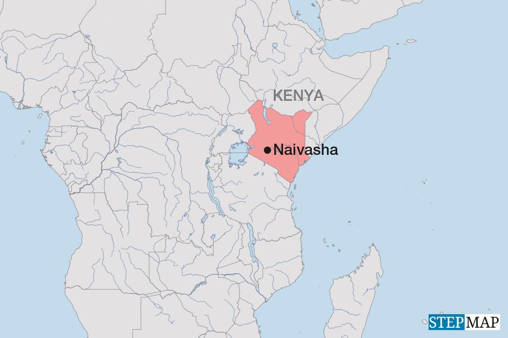 A campaign to plant more trees in Kenya