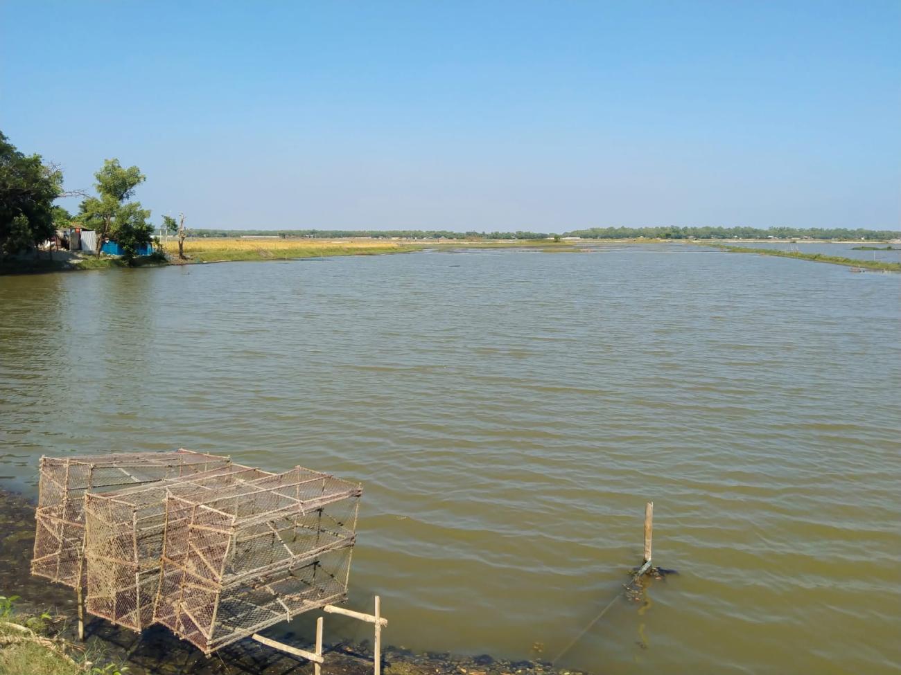 Smart farming in Bangladesh