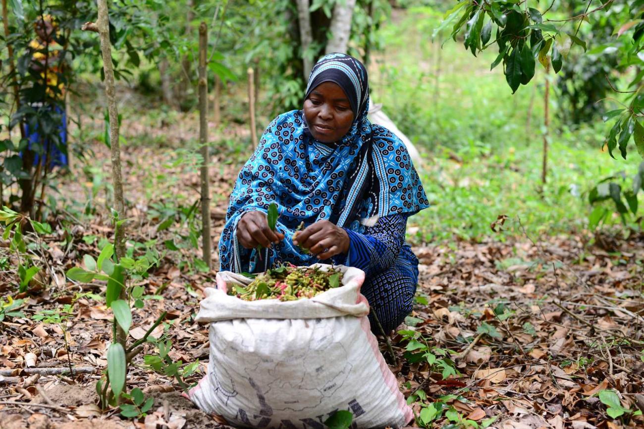 What Zanzibar's spices have to do with gender equality