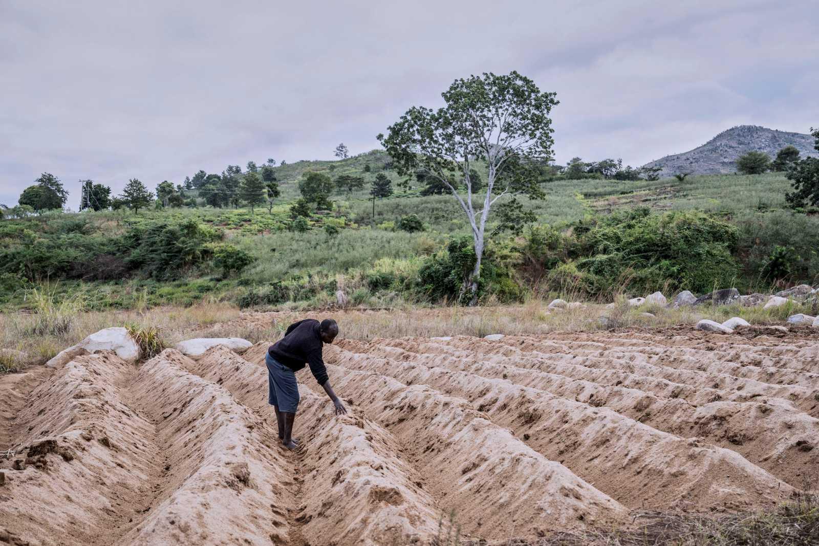 Malawi’s increasingly difficult battle against hunger